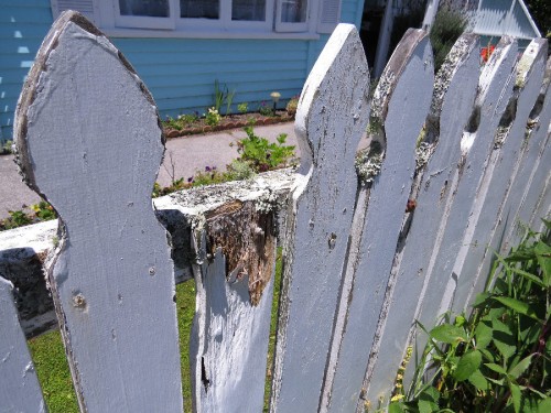 Emergency repairs to a picket fence - Rediscover Modern Homesteading
