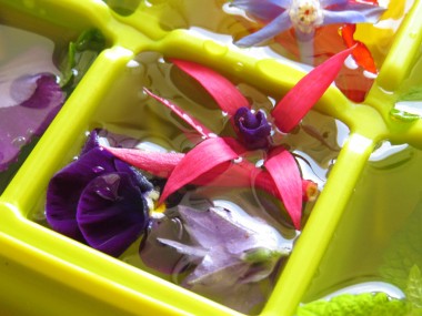 Flavoured water and edible flowers collide | Rediscover