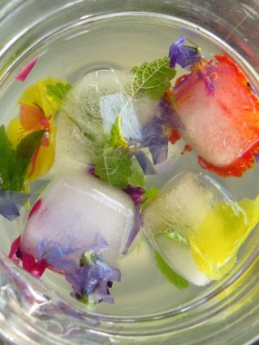 Flavoured water and edible flowers collide | Rediscover