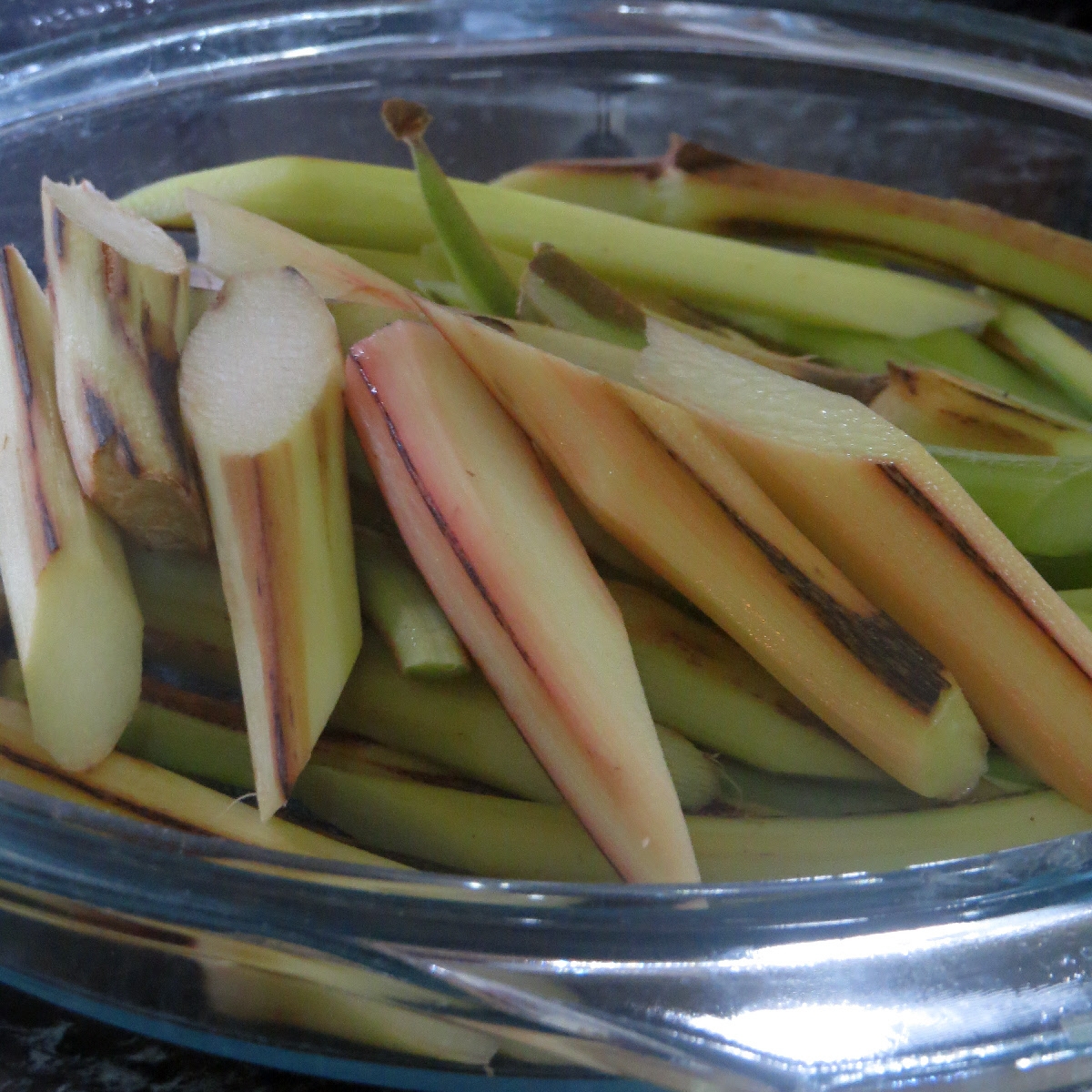 Foraging for native edibles in the Pirongia Forest | Rediscover