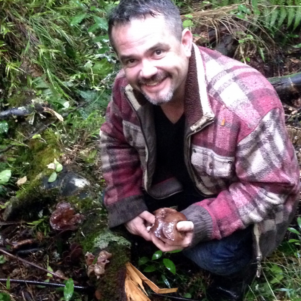 Foraging for native edibles in the Pirongia Forest | Rediscover