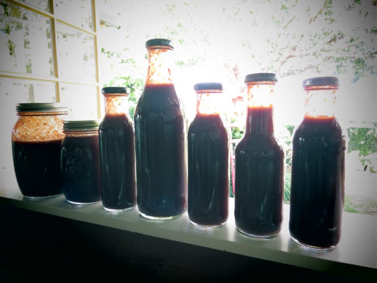 Spiced Plum Sauce | Rediscover