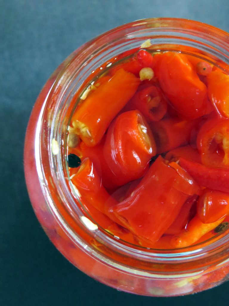 Preserving Chilli in Brine - Rediscover Modern Homesteading