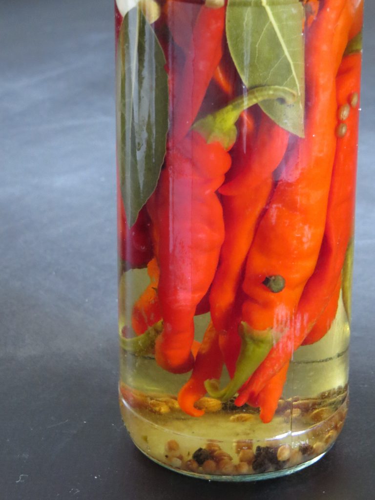 Preserving Chilli in Brine - Rediscover Modern Homesteading