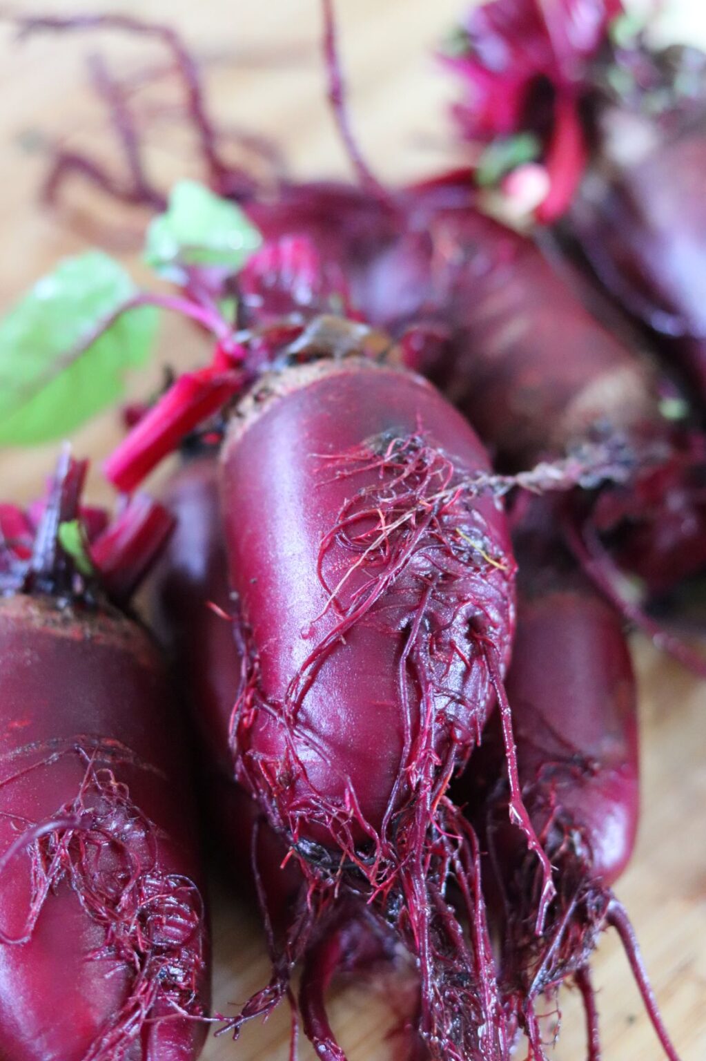 Easy Pickled Fresh Beetroot - Rediscover Modern Homesteading