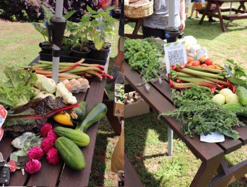 The Joy of Crop Swaps - Rediscover Modern Homesteading