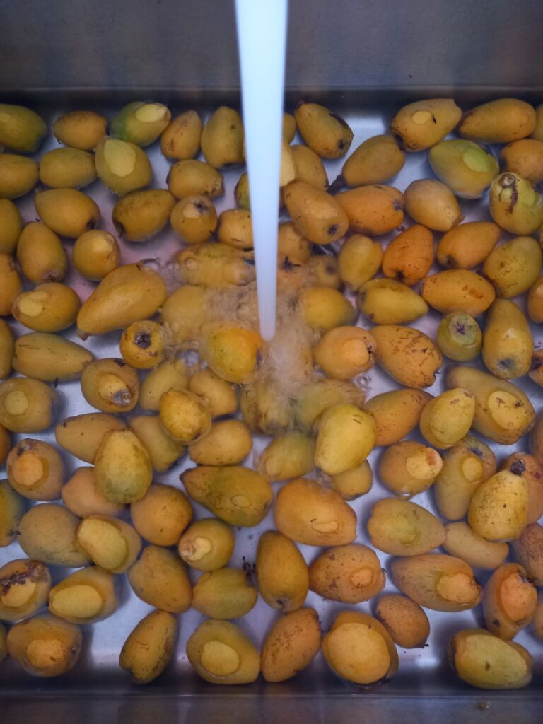 Forgotten Fruits: Loquat Jam - Rediscover Modern Homesteading