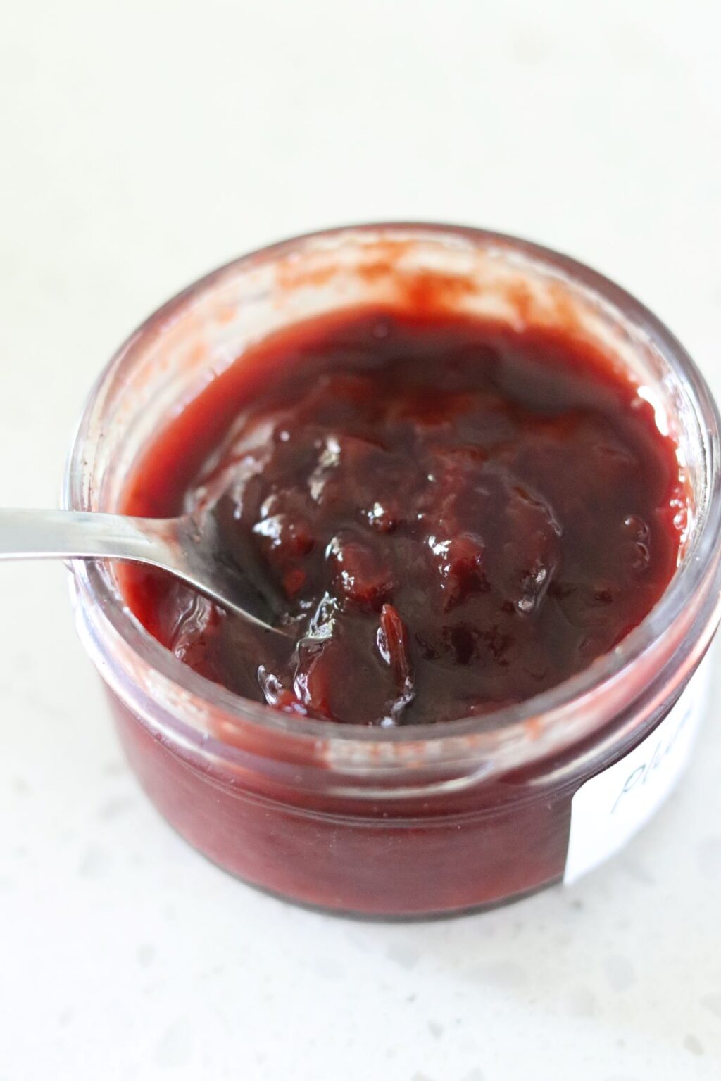 Spiced Plum Chutney - Rediscover Modern Homesteading