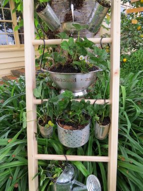 DIY Growing Ladder - Rediscover Modern Homesteading
